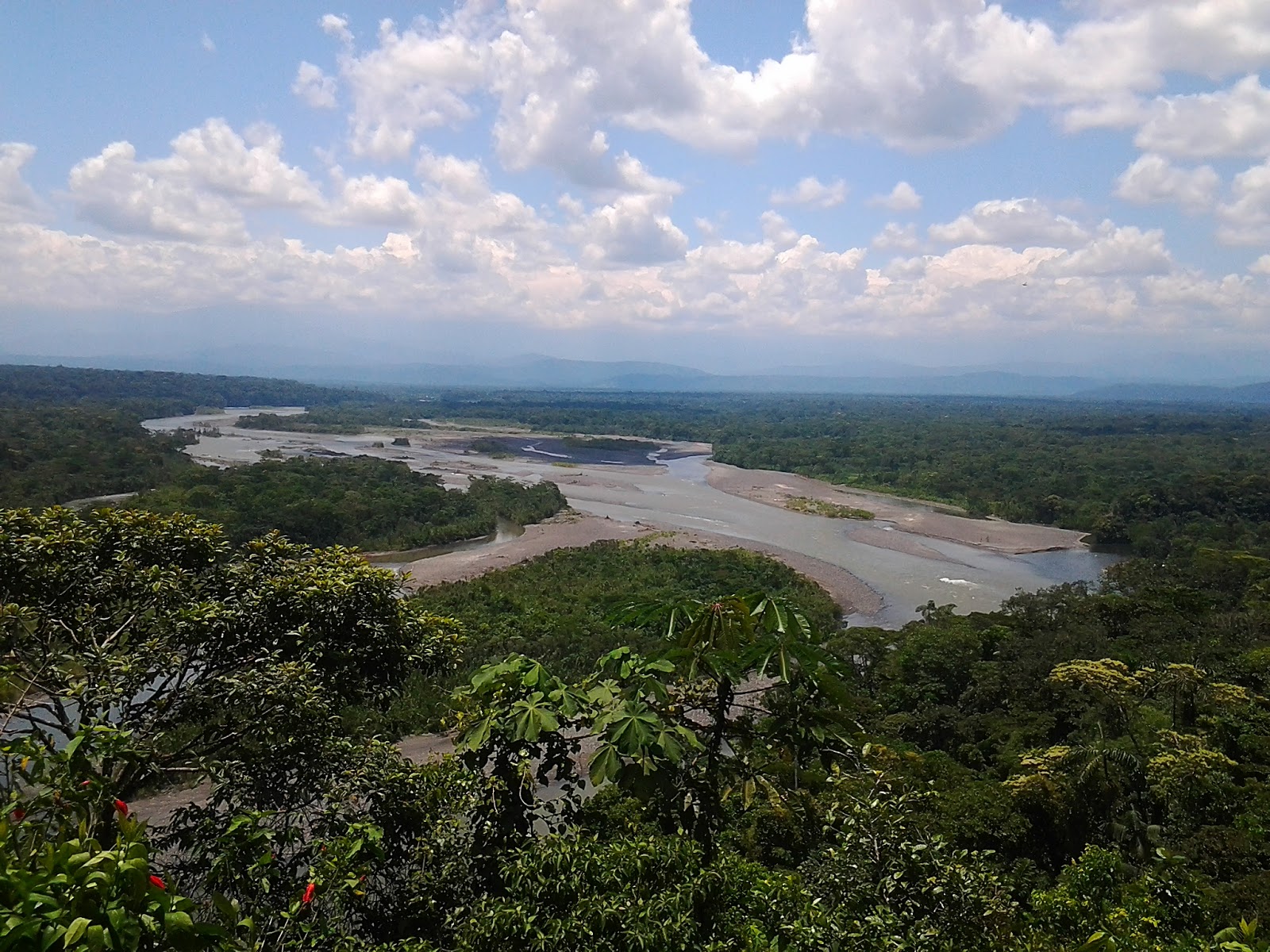 Regenwald von Ahuano - Trottermundo
