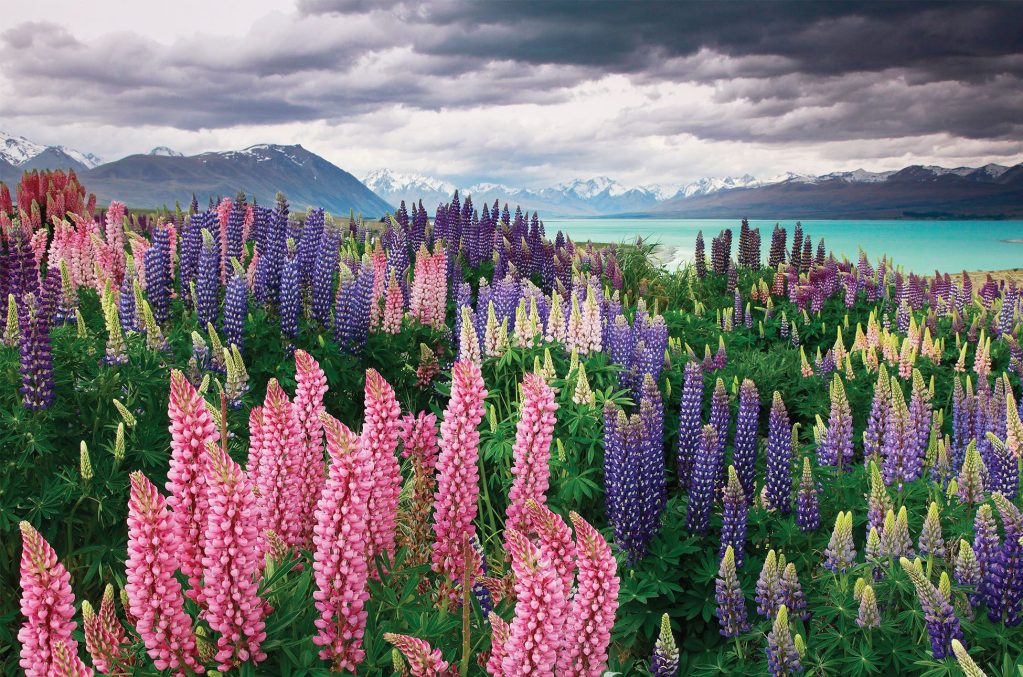 MacKenzie Country - Trottermundo