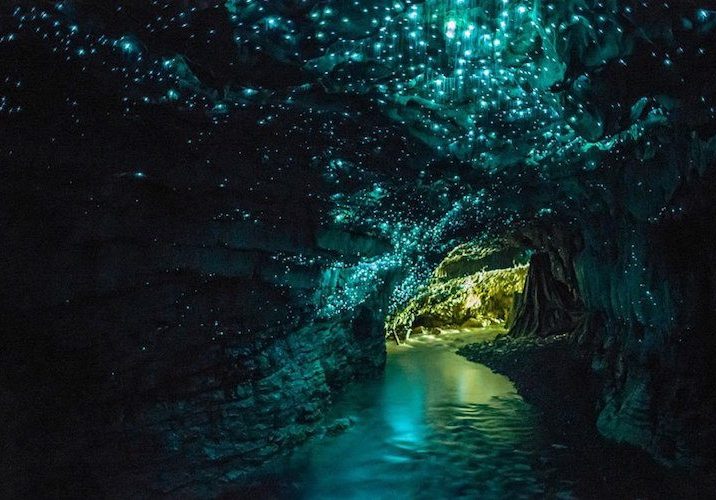 Waitomo Caves - Trottermundo