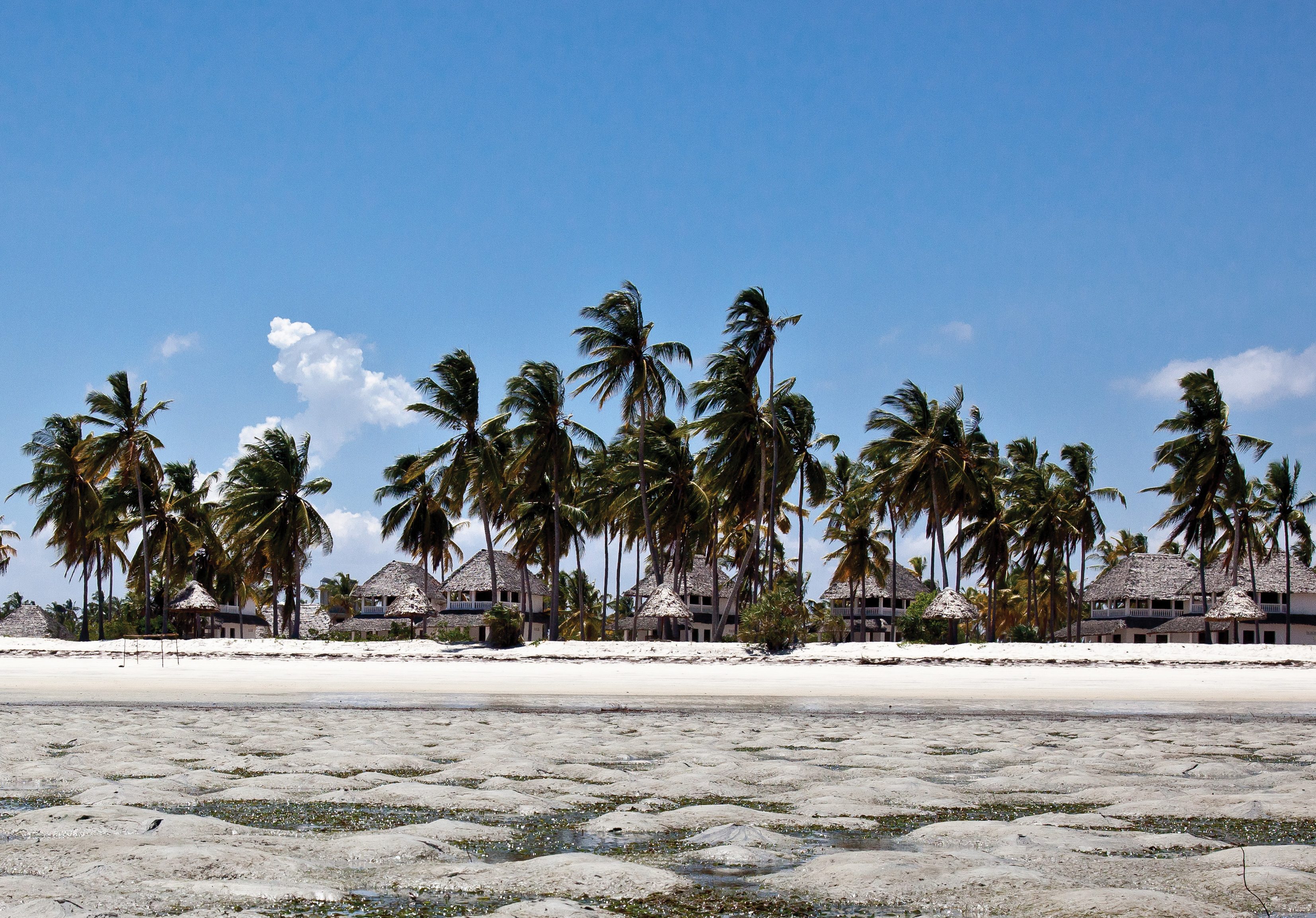 Kijongo Bay Beach Resort - Trottermundo